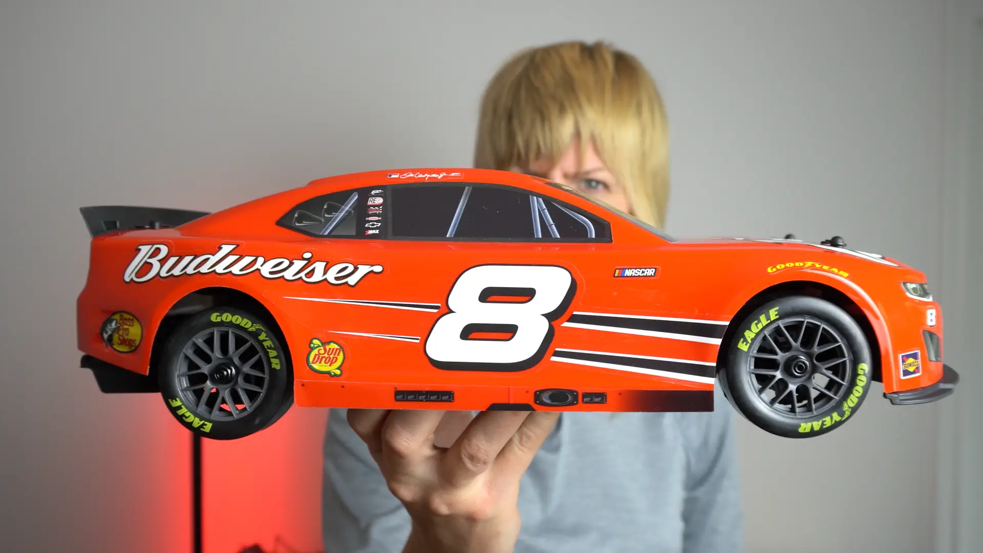 NEW! Losi NASCAR 1/12 RC Car: Dale Earnhardt Jr. Edition